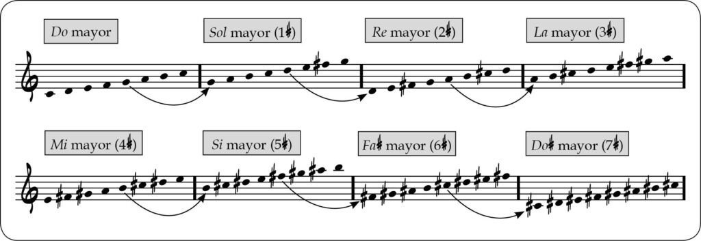 TEORÍA MUSICAL ️ ESCALAS MAYORES Y MENORES